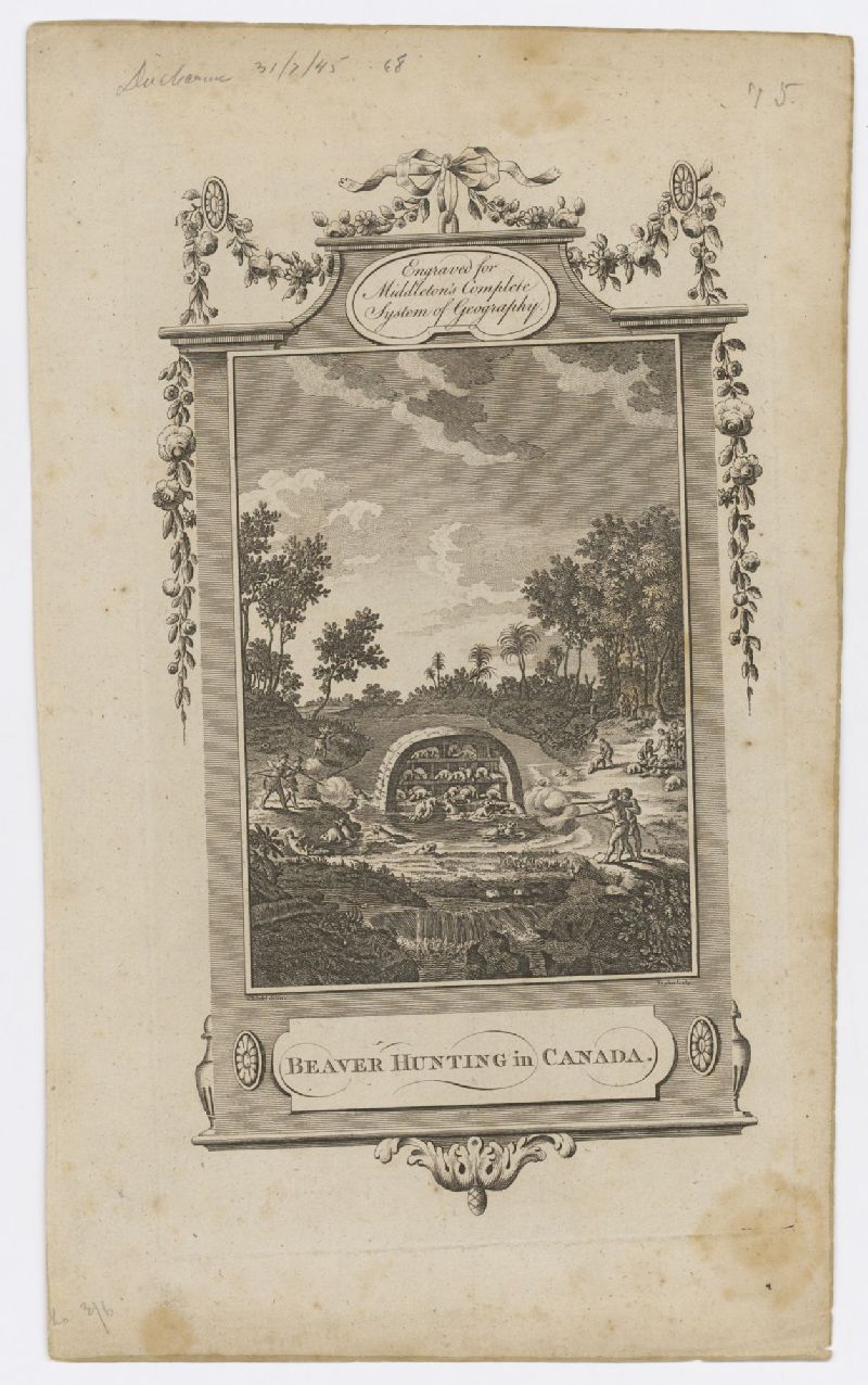 Beaver hunting in Canada | BAnQ numérique