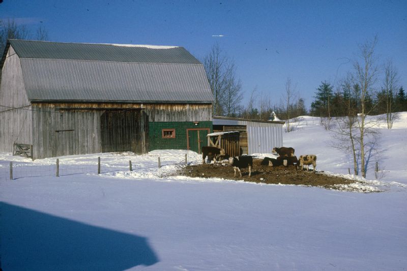 Habitat rural | BAnQ numérique