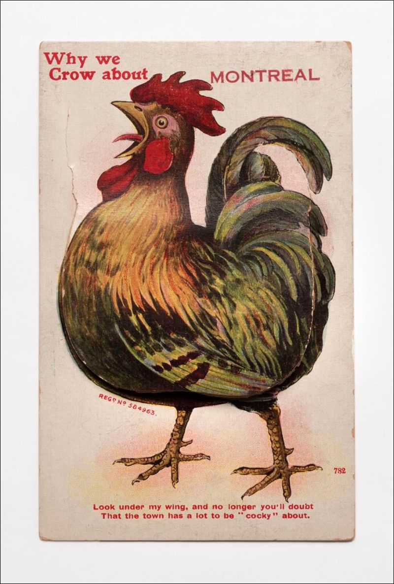 Why we crow about Montreal : look under my wing, and no longer you'll ...